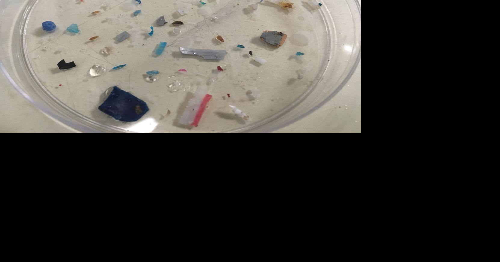 Small plastics found in Lake Michigan | Local News | record-eagle.com
