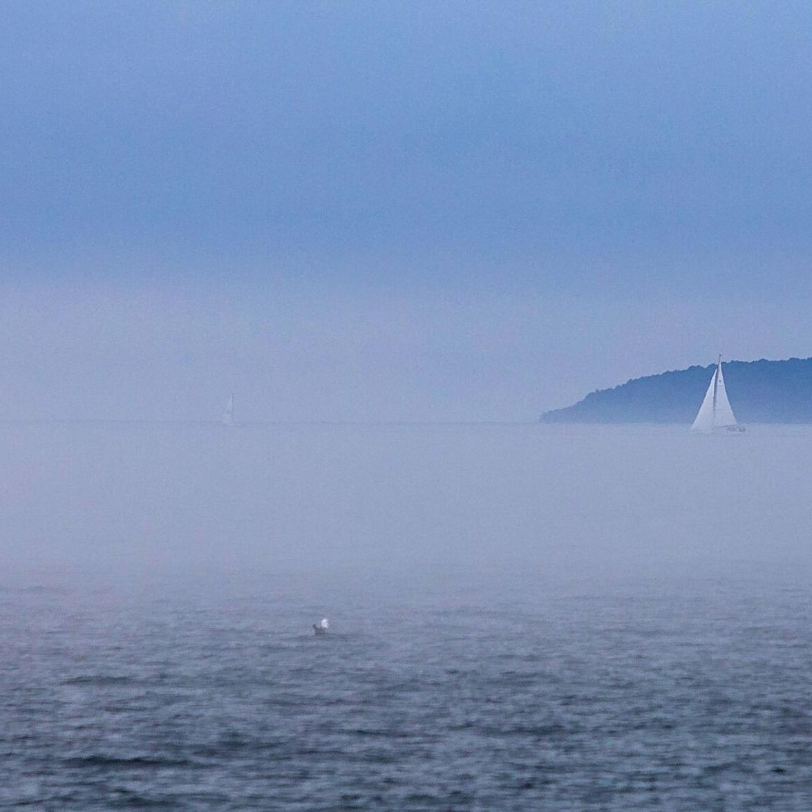 Using the Record-Eagle.com archives | Site | record-eagle.com