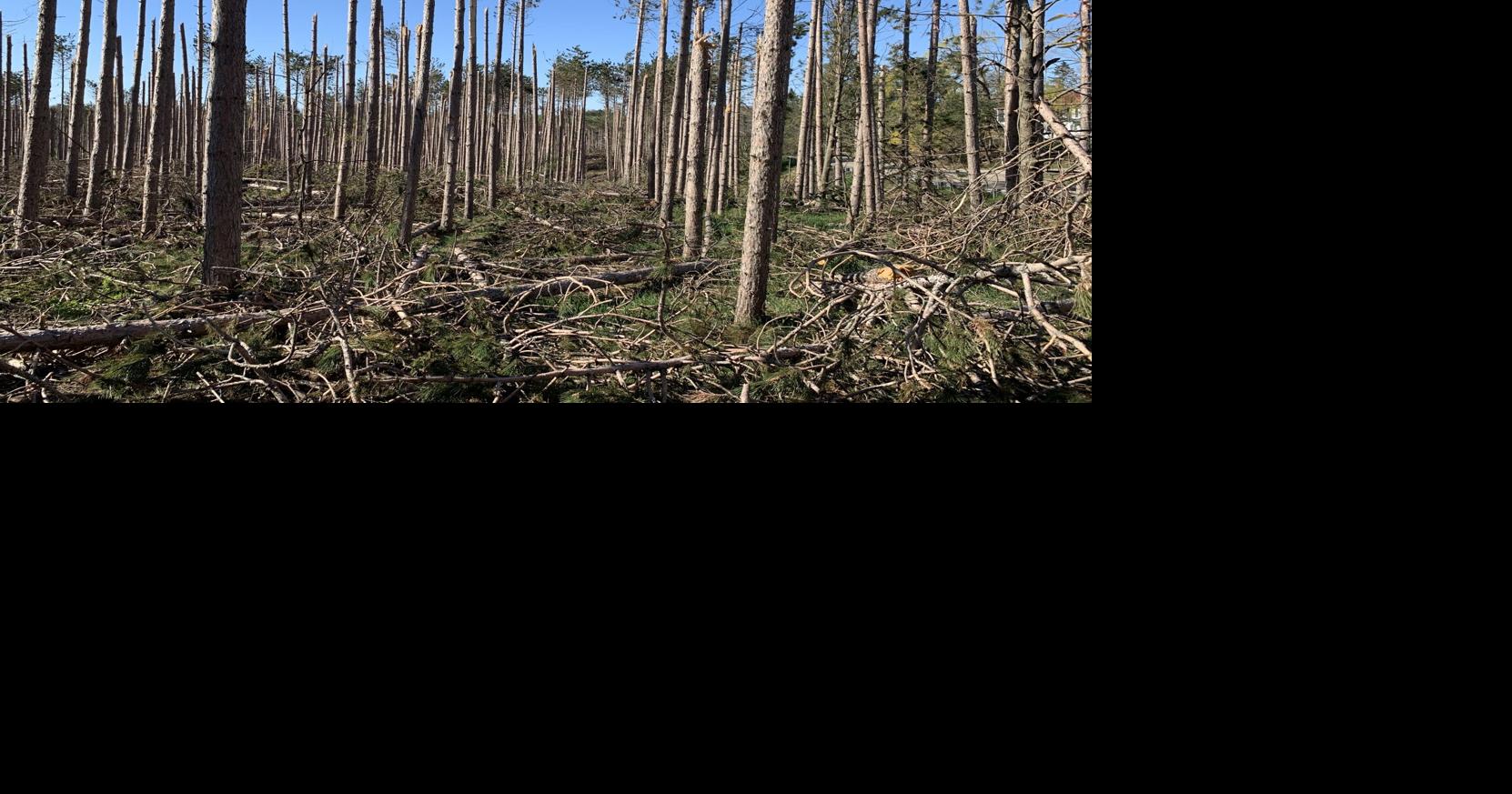 Greg Frey: Damages and dividends of a 100-year storm, part one | GO ...