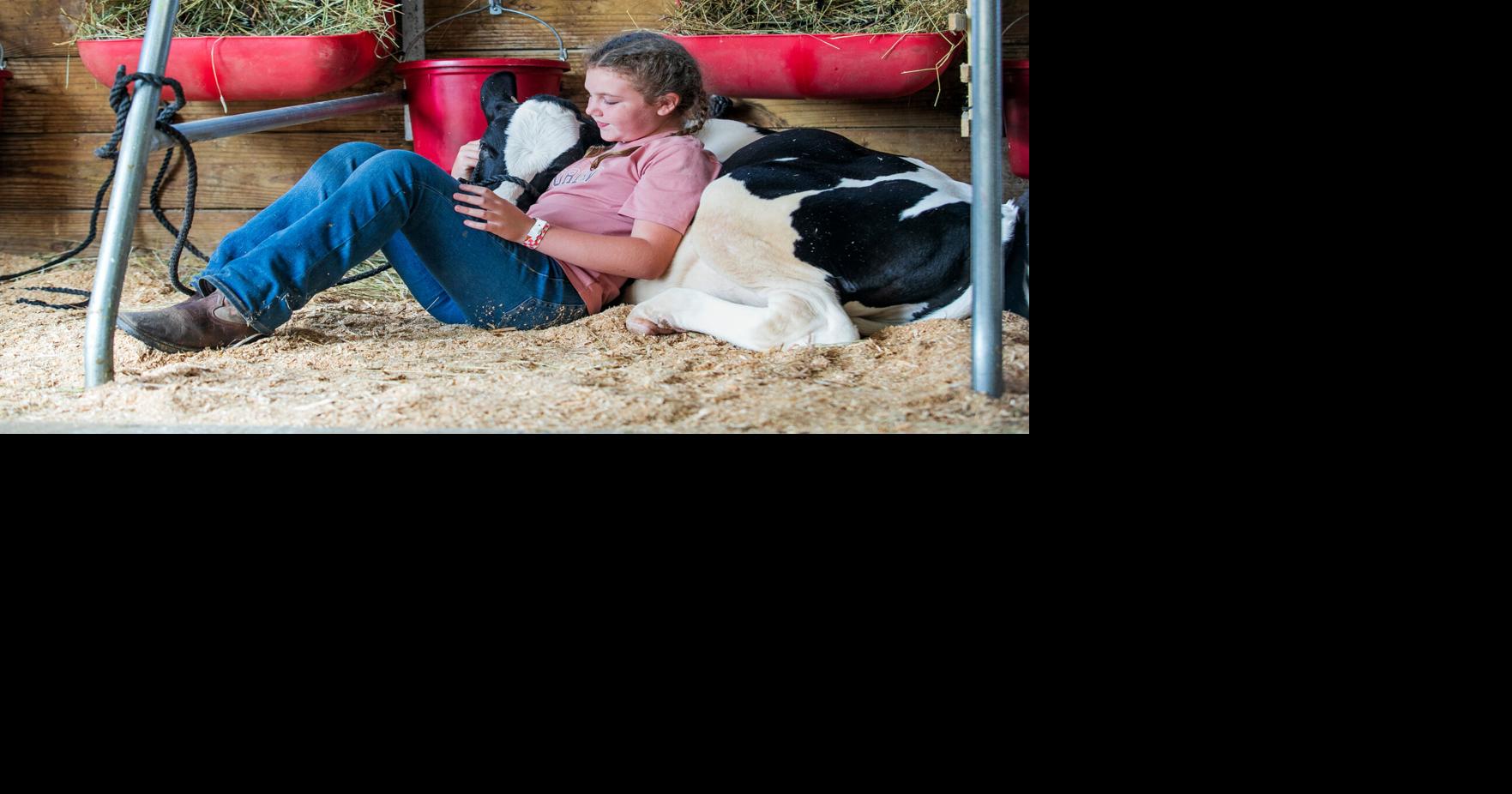 NORTHWESTERN MICHIGAN FAIR | News | record-eagle.com