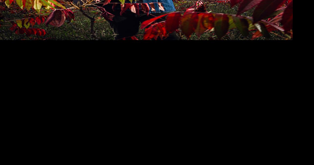 Traverse City’s John Richard Paul balances in-demand bass work with ...