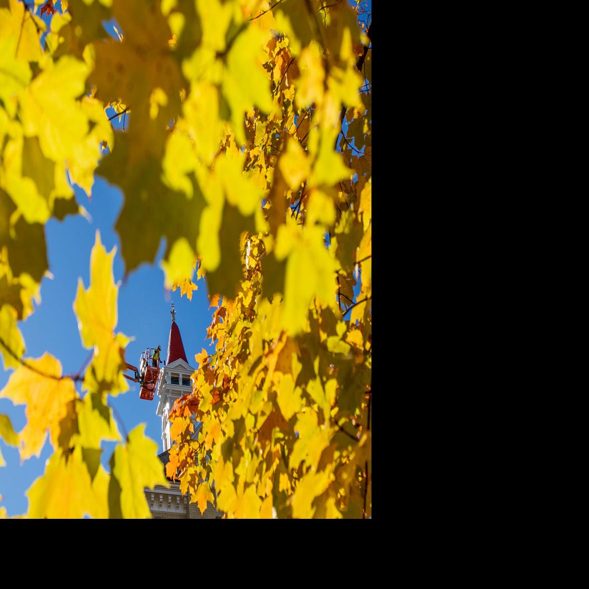 Watco buys GLC Railroad | Local News | record-eagle.com