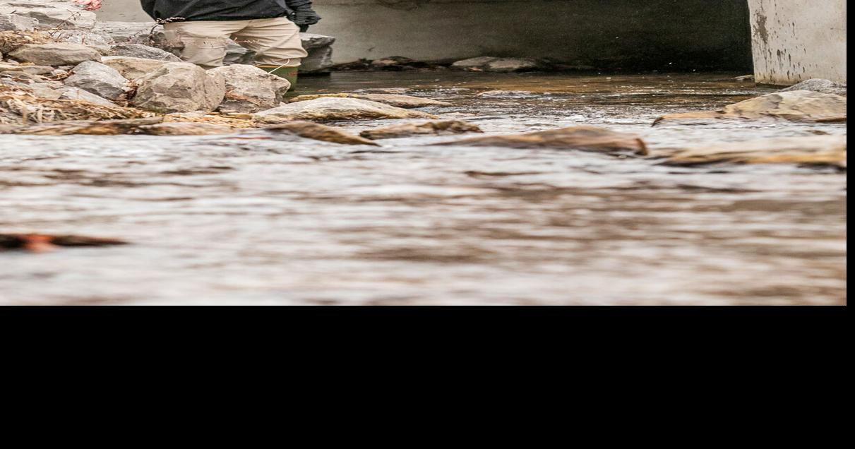 WATER WORRIES: Drain commissioner faces flood of challenges | Local ...