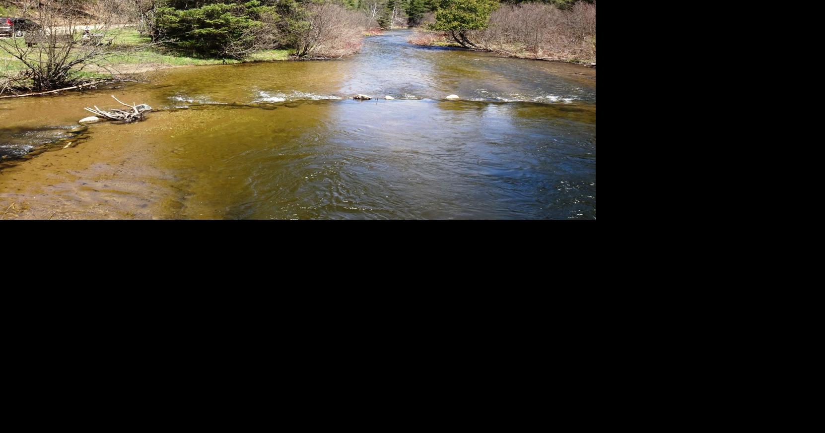 On the Trail: Shingle Mill Pathway offers a wilderness like outing | GO ...