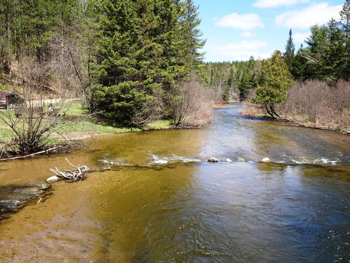 On the Trail: Shingle Mill Pathway offers a wilderness like outing | GO ...
