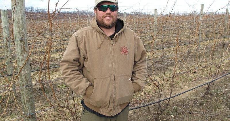 Truly Michigan Vines grows | the BIZ | record-eagle.com