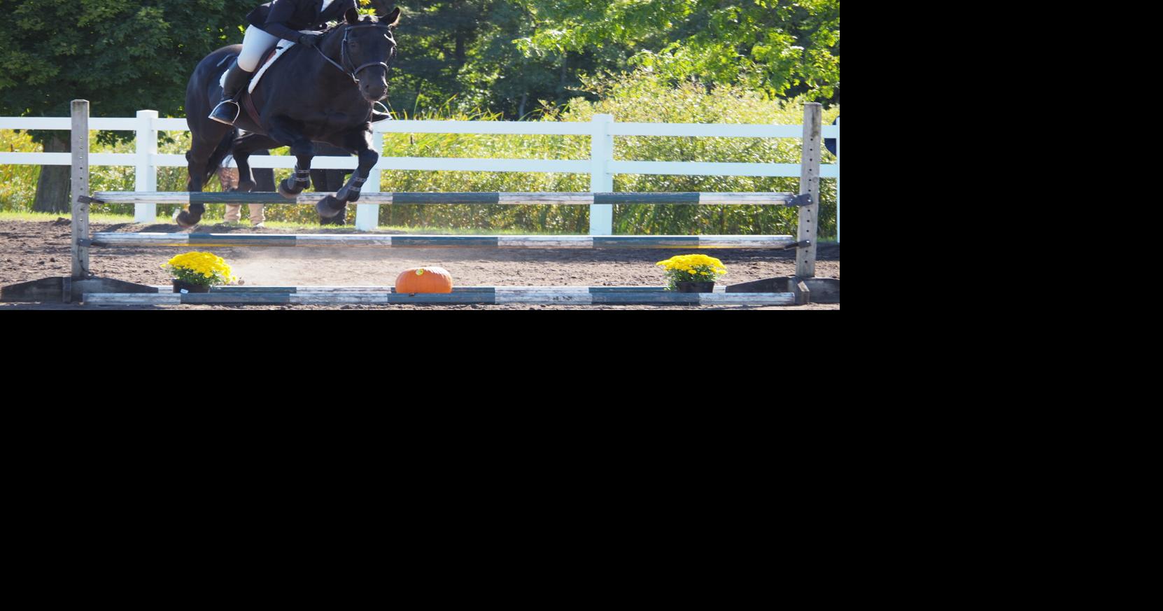 Sports in brief: Glen Lake equestrian team wins regional, competes in ...