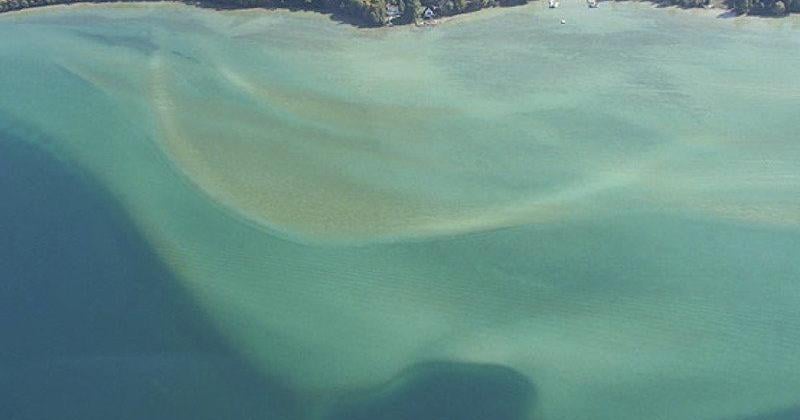 Algae growth sparks Torch Lake study | Local News | record-eagle.com