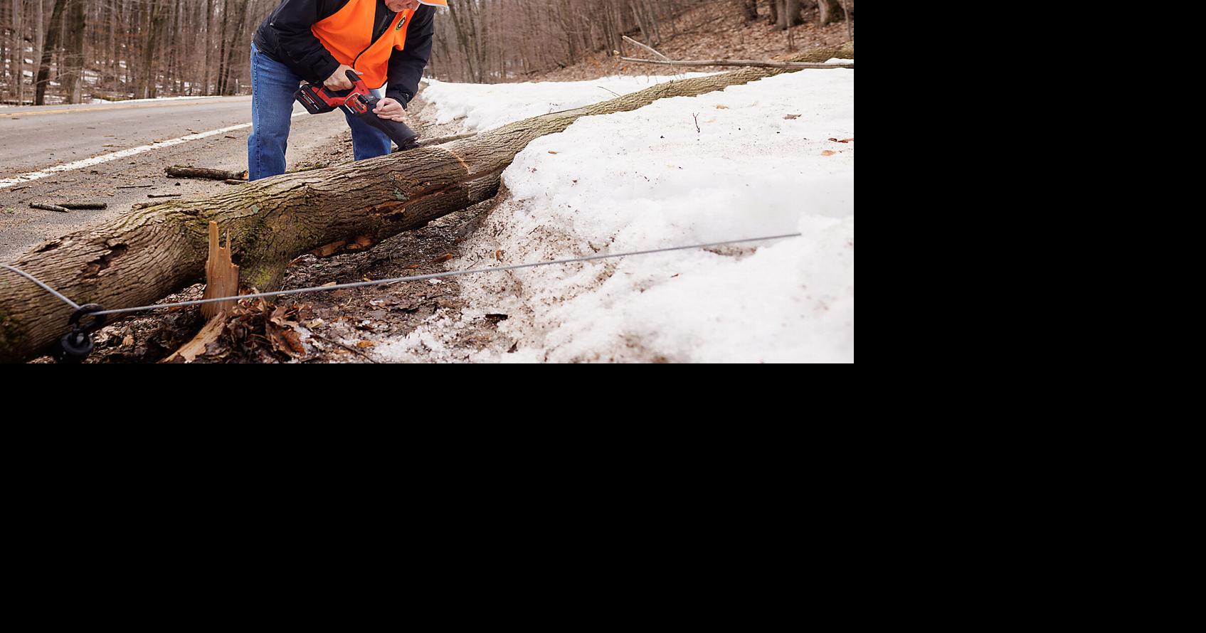 TREE CLEANUP | | record-eagle.com