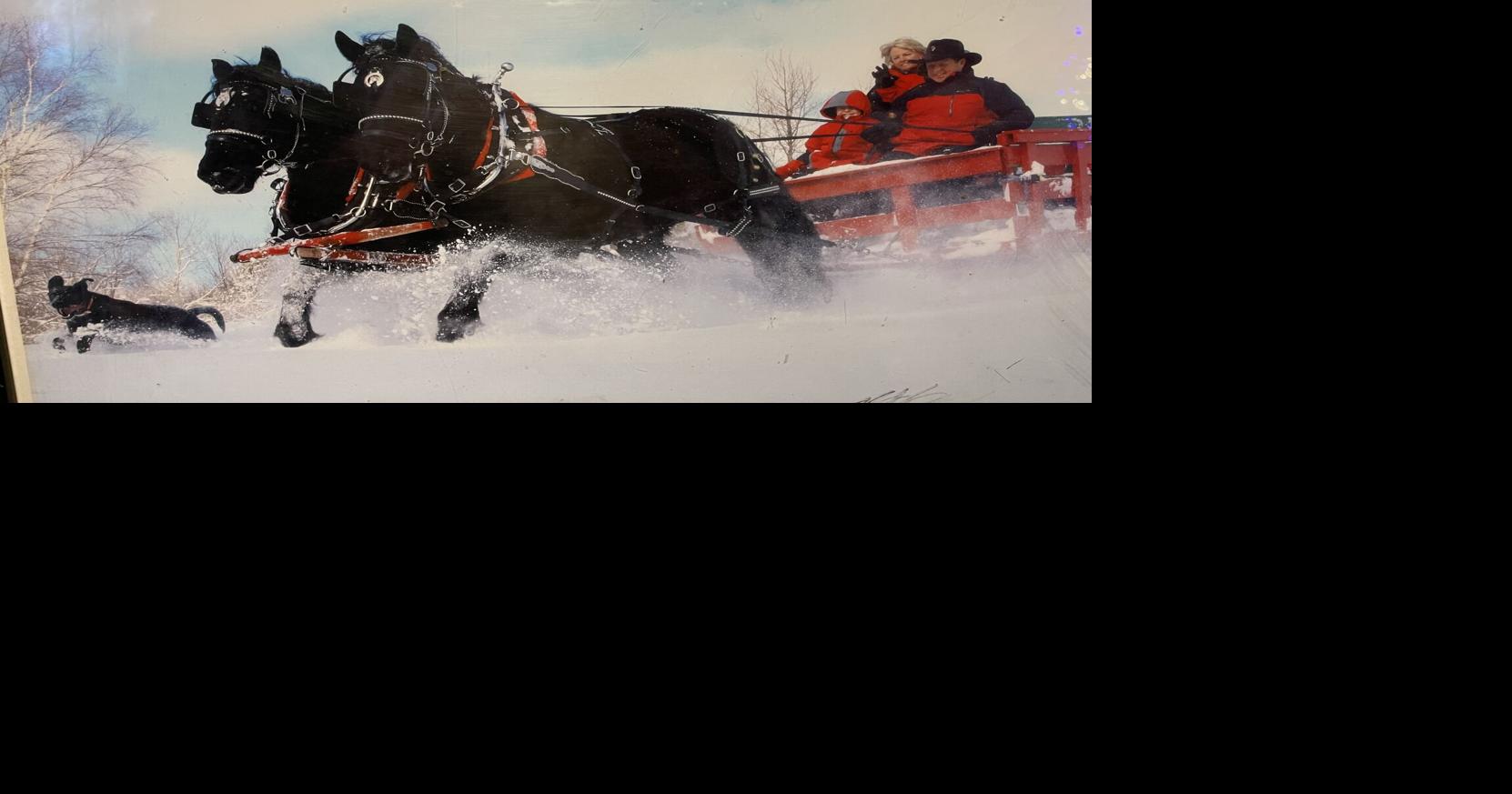 Horse-drawn sleigh rides bring classic charm to holiday season | GT ...