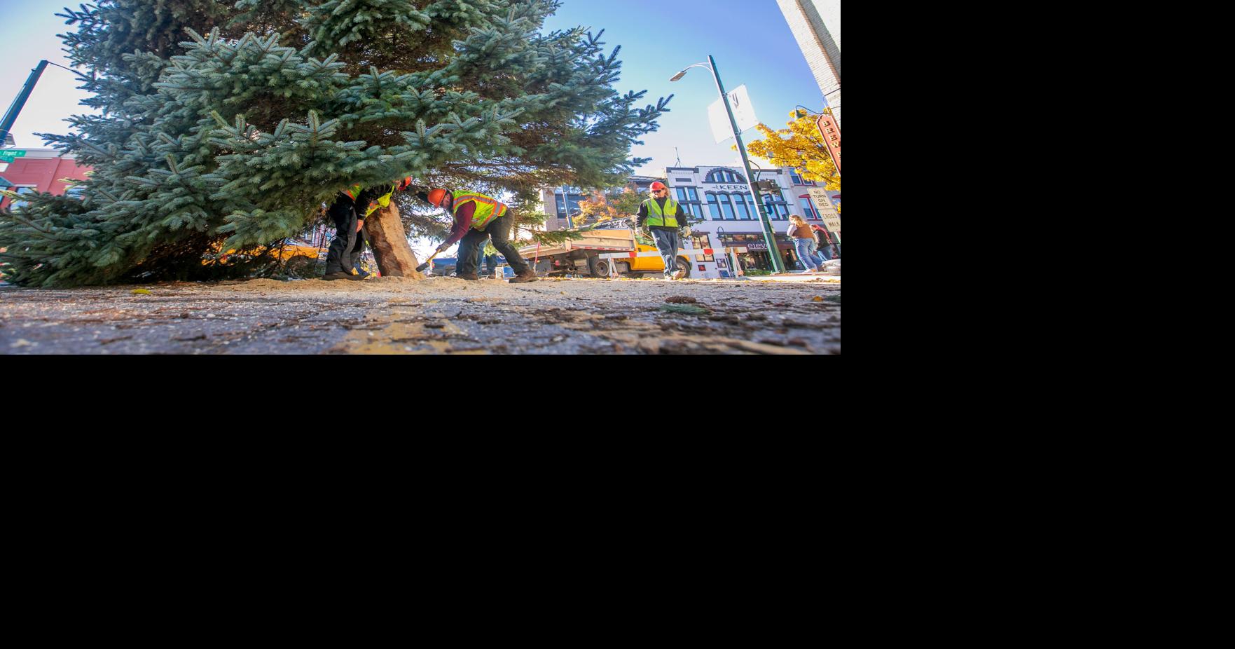 DOWNTOWN TREE ARRIVES | News | record-eagle.com
