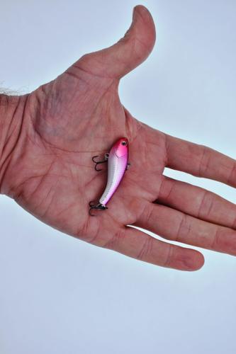 Gwizdz's Gadgets and Gear: Slab Rap | GO | record-eagle.com