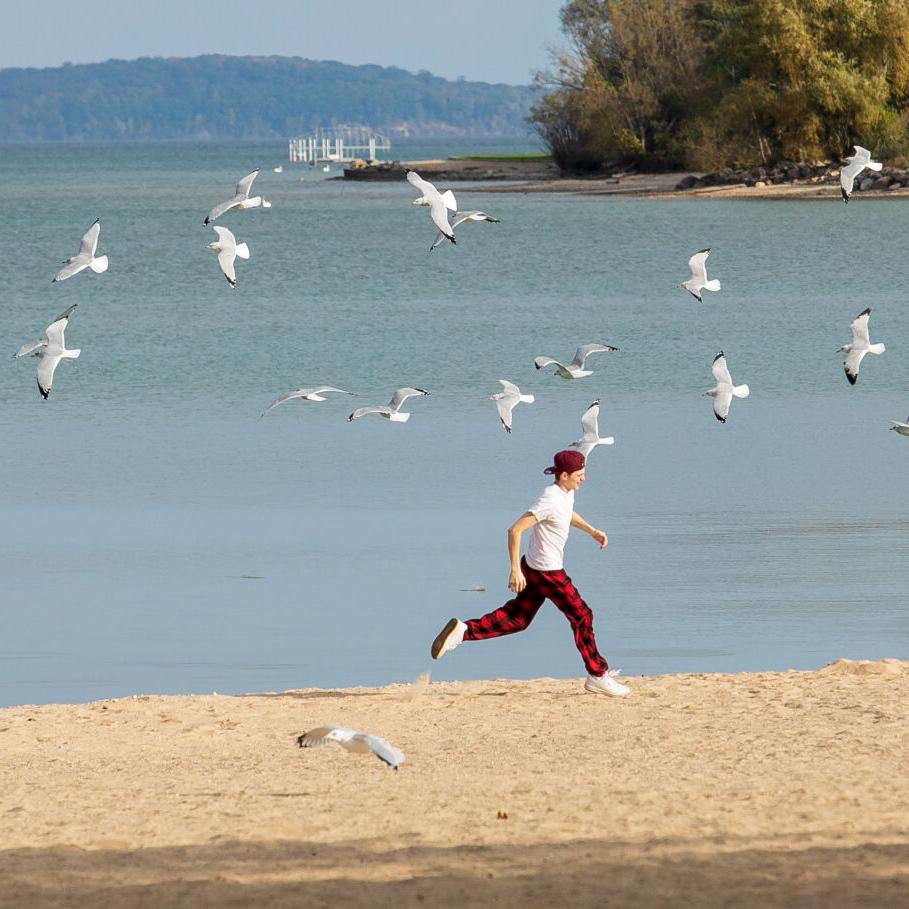 Using the Record-Eagle.com archives | Site | record-eagle.com