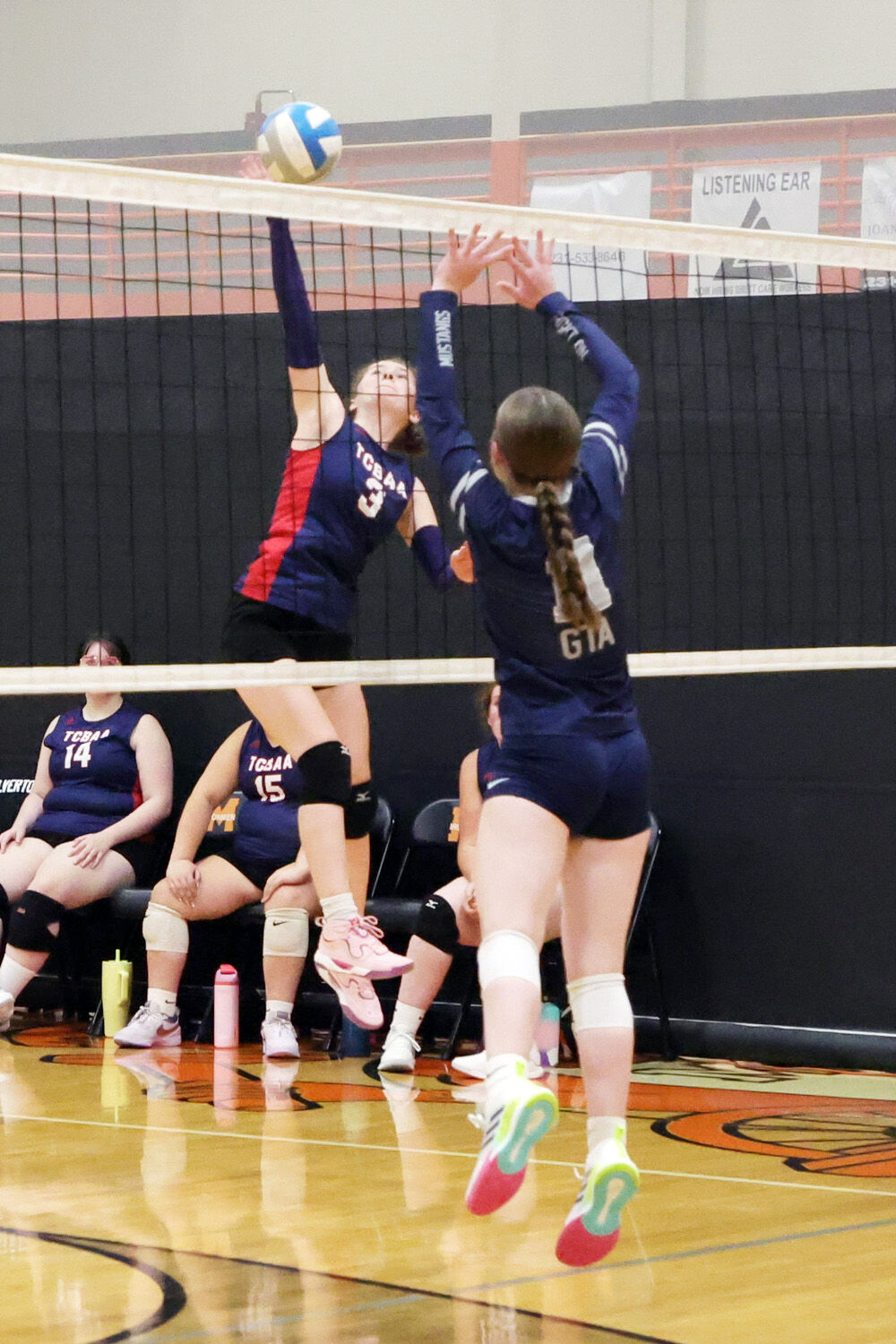 2025 all-West Michigan D League volleyball team | Sports | record-eagle.com