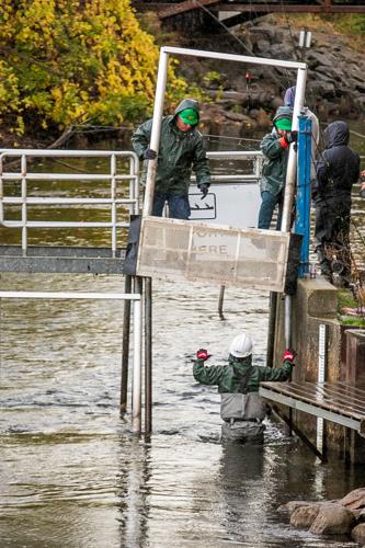WEIR REMOVAL | Local News | record-eagle.com
