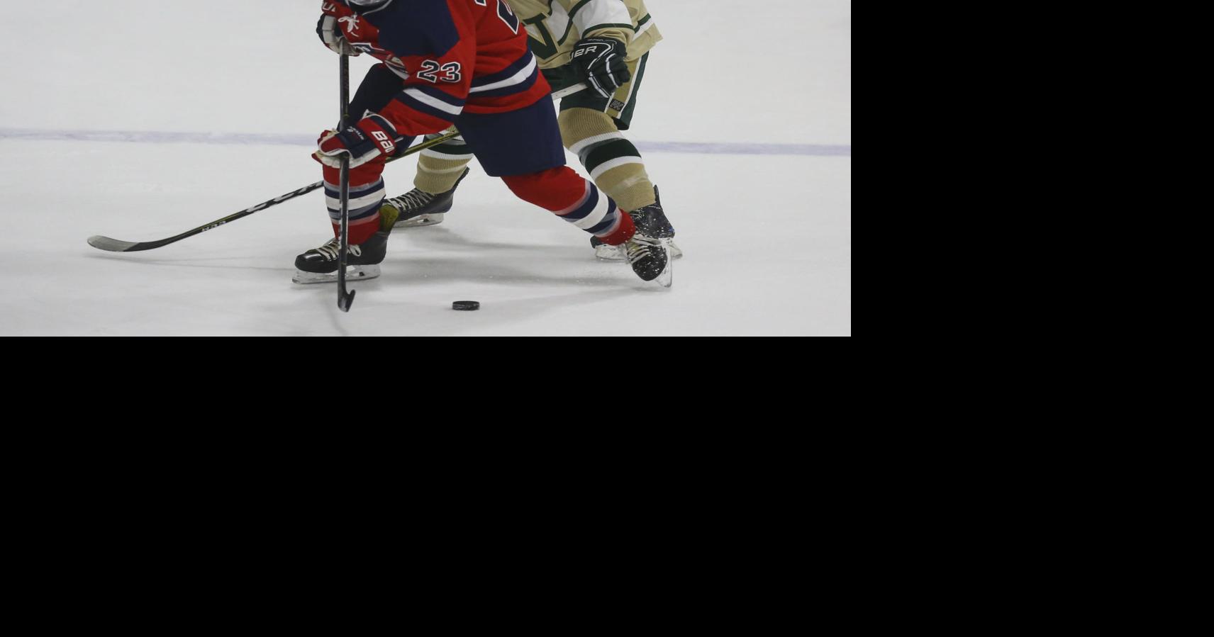 Polomsky pushes Reps past Traverse City West in OT | Local Sports ...