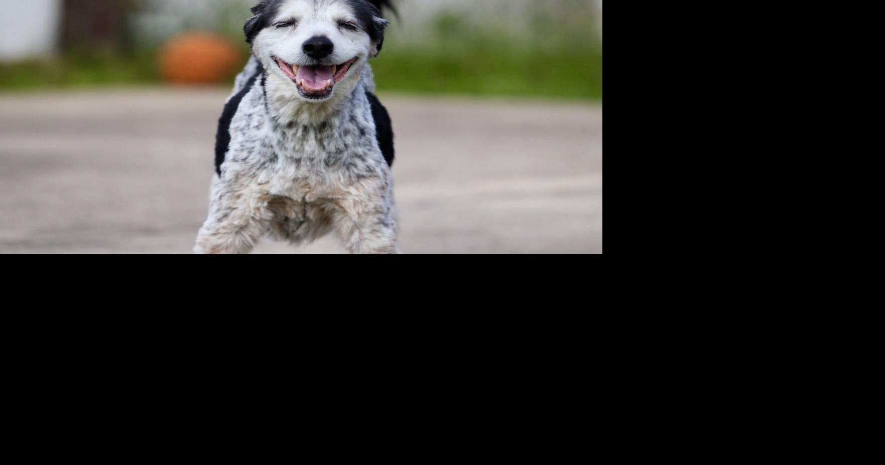 Brendan Quealy: On the outside looking in | Northern Living | record ...