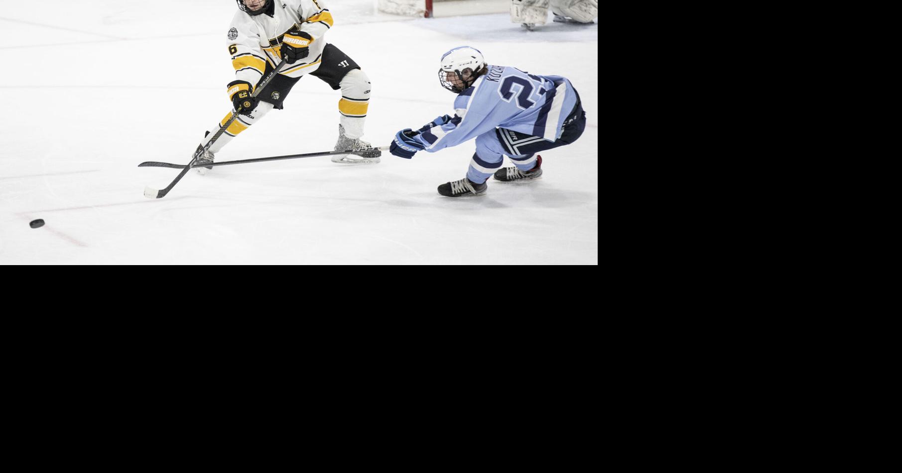 Prep roundup: Traverse City West hockey 2-0 at Deneweth Memorial ...