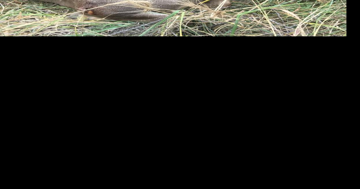 Greg Frey: A Big Buck Hunter How-to | GO | record-eagle.com