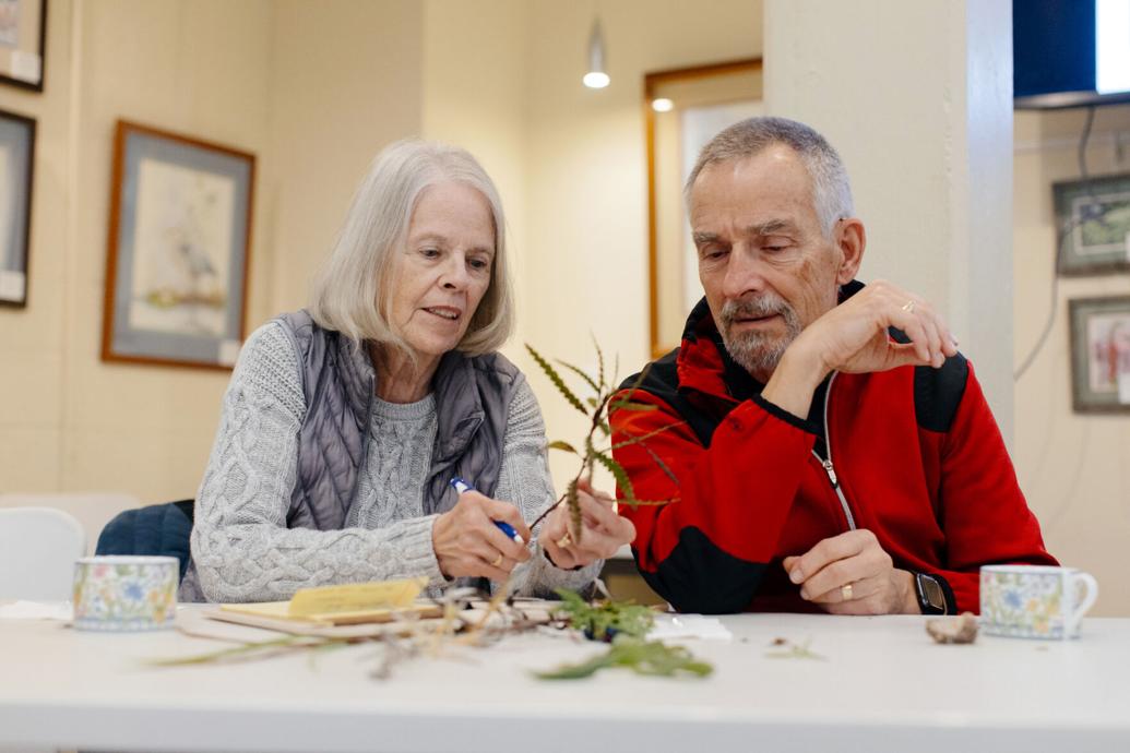 Harvest Celebration of Traditional Crops of the Anishinaabe | Local ...