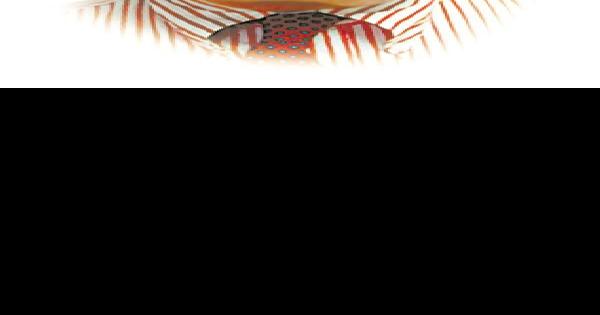 George Weeks: Michigan’s rich military history | Columns | record-eagle.com