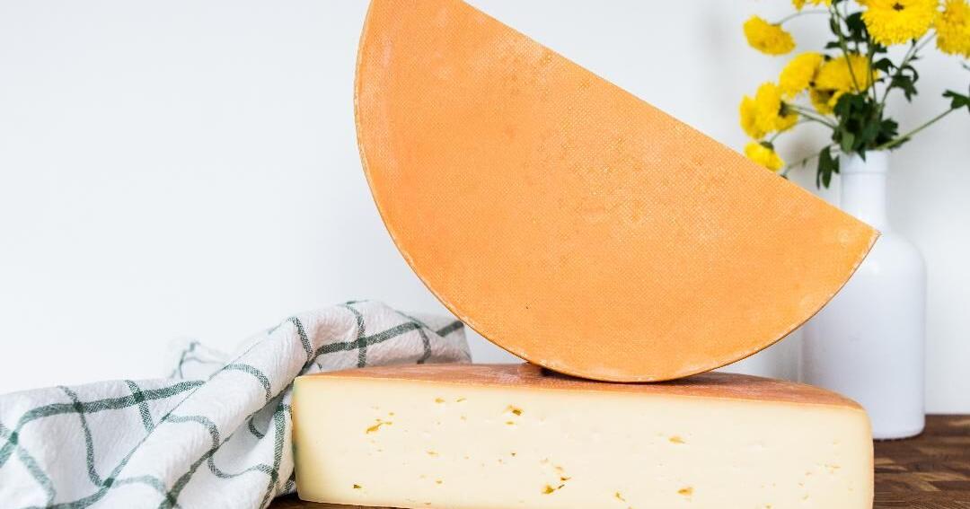 Toss the cheese, chocolate pairings at Michigan cheese festival | Food ...