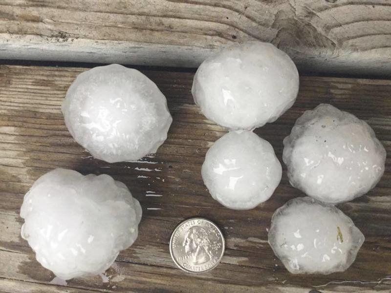 Hail storm hits cherry, apple crops | Local News | record-eagle.com