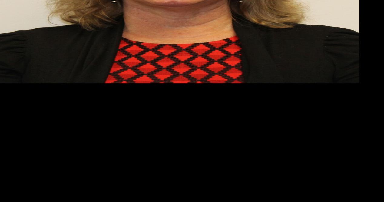 GRAND TRAVERSE ELECTIONS: Canvass board appointments set, accuracy ...