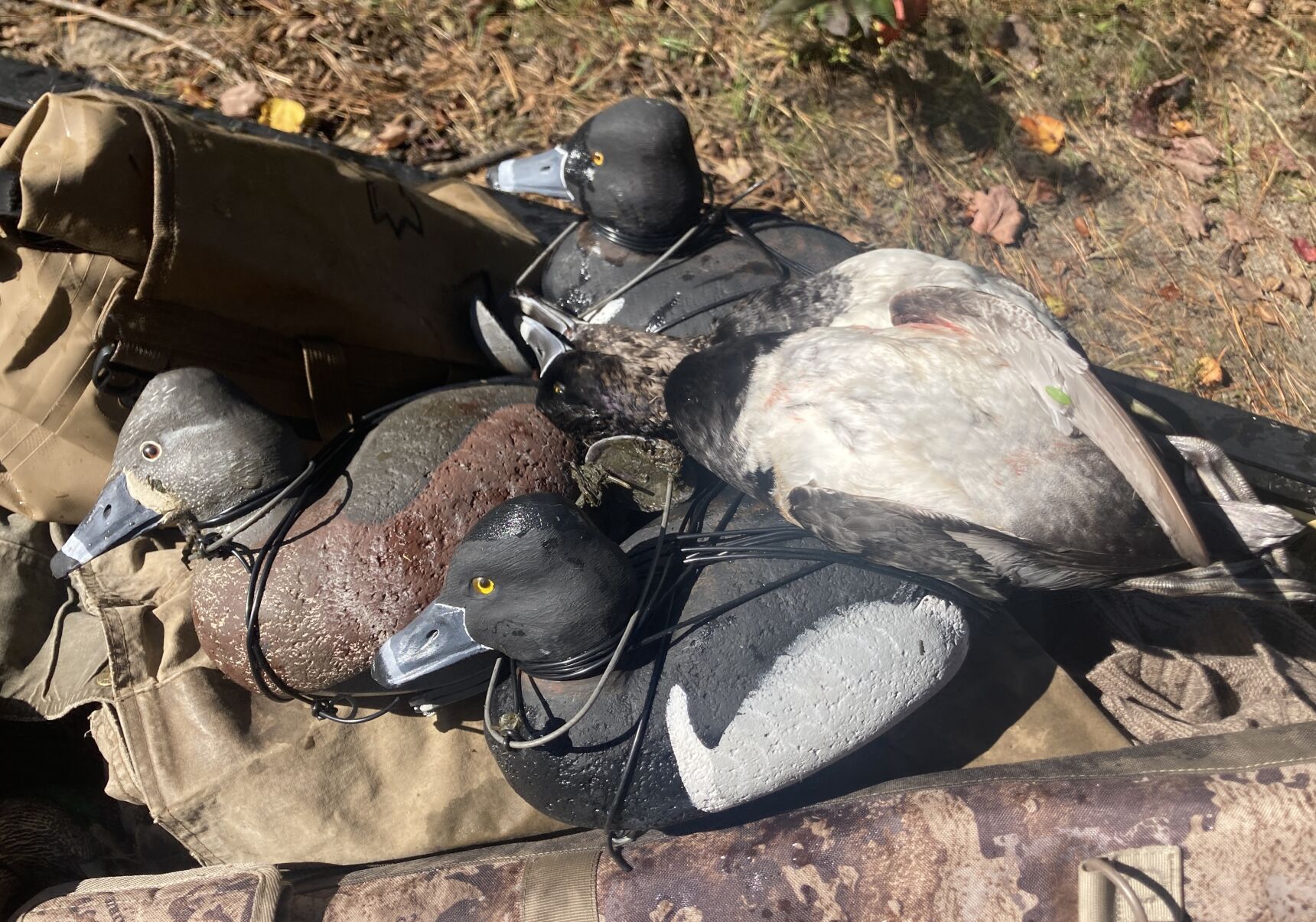 Christopher Smith: Sporting Resolutions, 2026 | GO | record-eagle.com