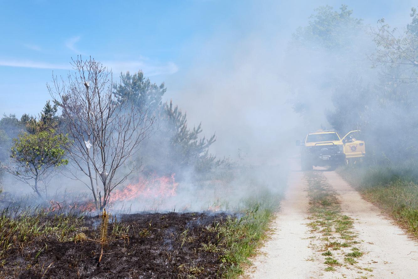DNR firefighters douse hot spots at a forest fire in Mancelona Township ...