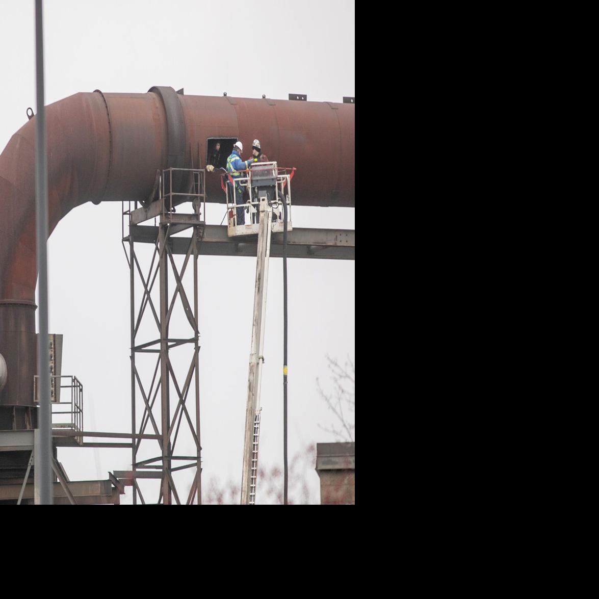 Keeping cats clean: The French Cat opens on Eighth | the BIZ | record ...