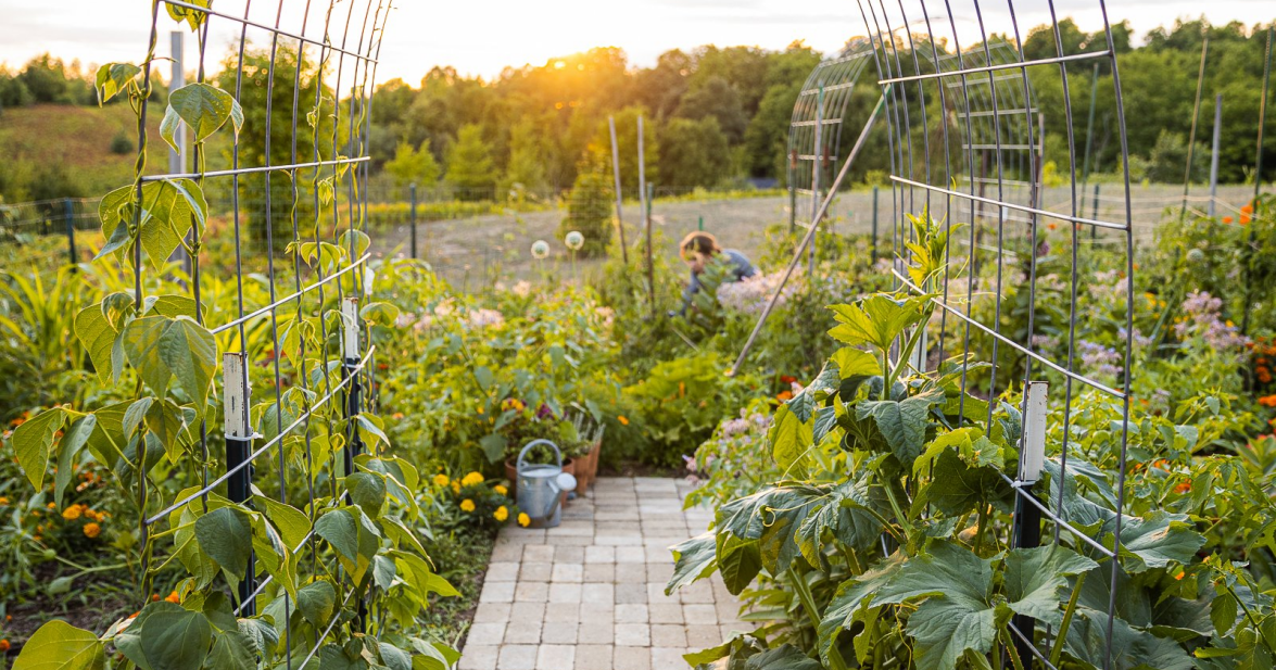 Folk School course explores regenerative gardening for backyard spaces ...