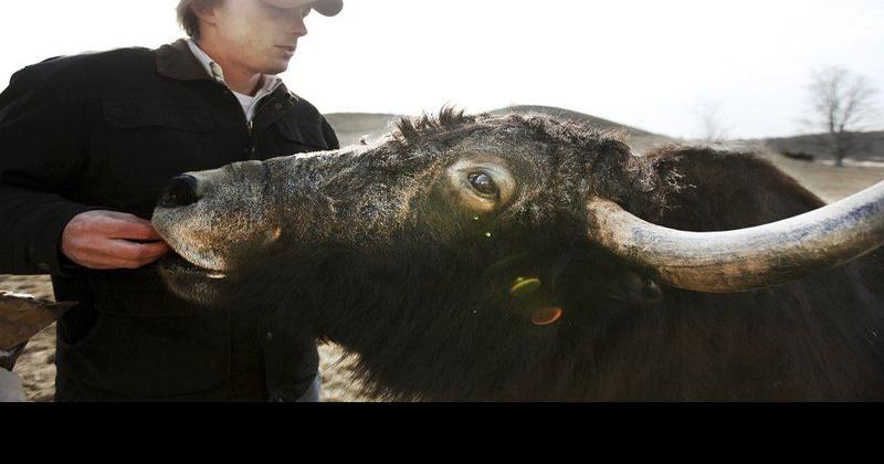 Yak Chat | Local News | record-eagle.com