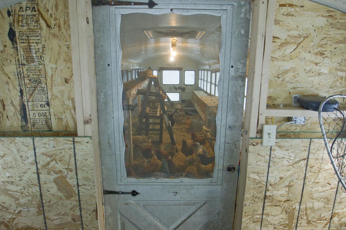 Snowy days? Chicken bus to the rescue | Lifestyles | record-eagle.com