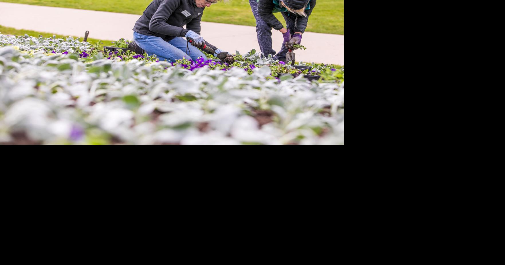 LOGO GARDEN PLANTING | | record-eagle.com