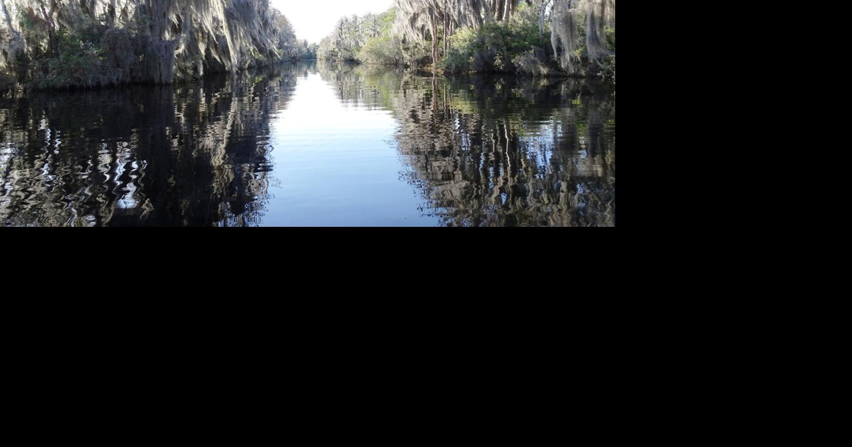 On the Trail: Visiting the Okefenokee Swamp | News | record-eagle.com