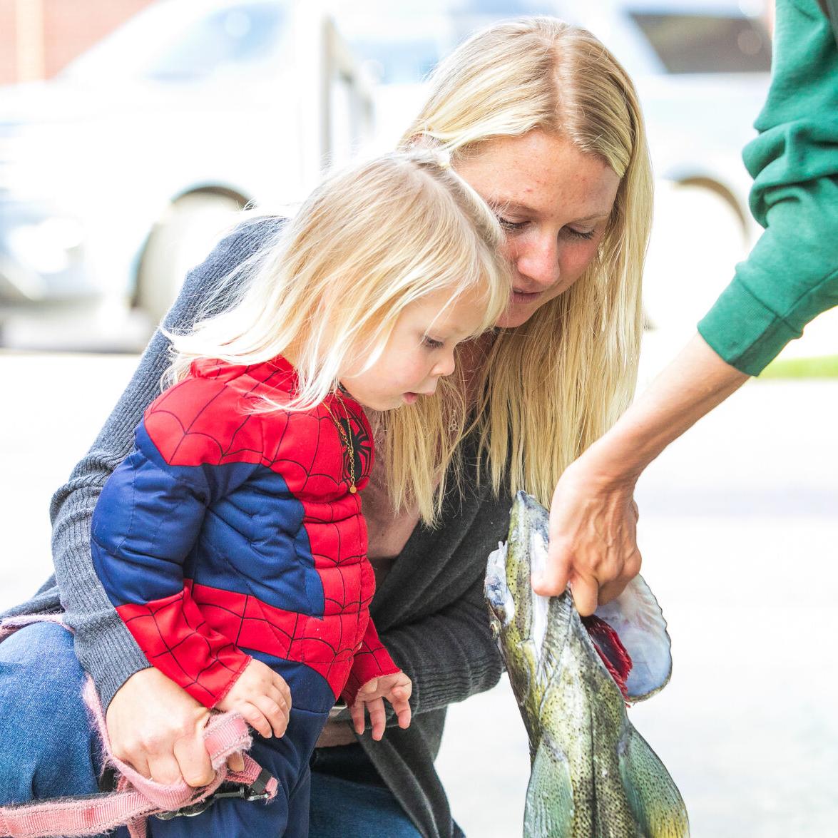 NMC aviation program soars to new heights | Business | record-eagle.com