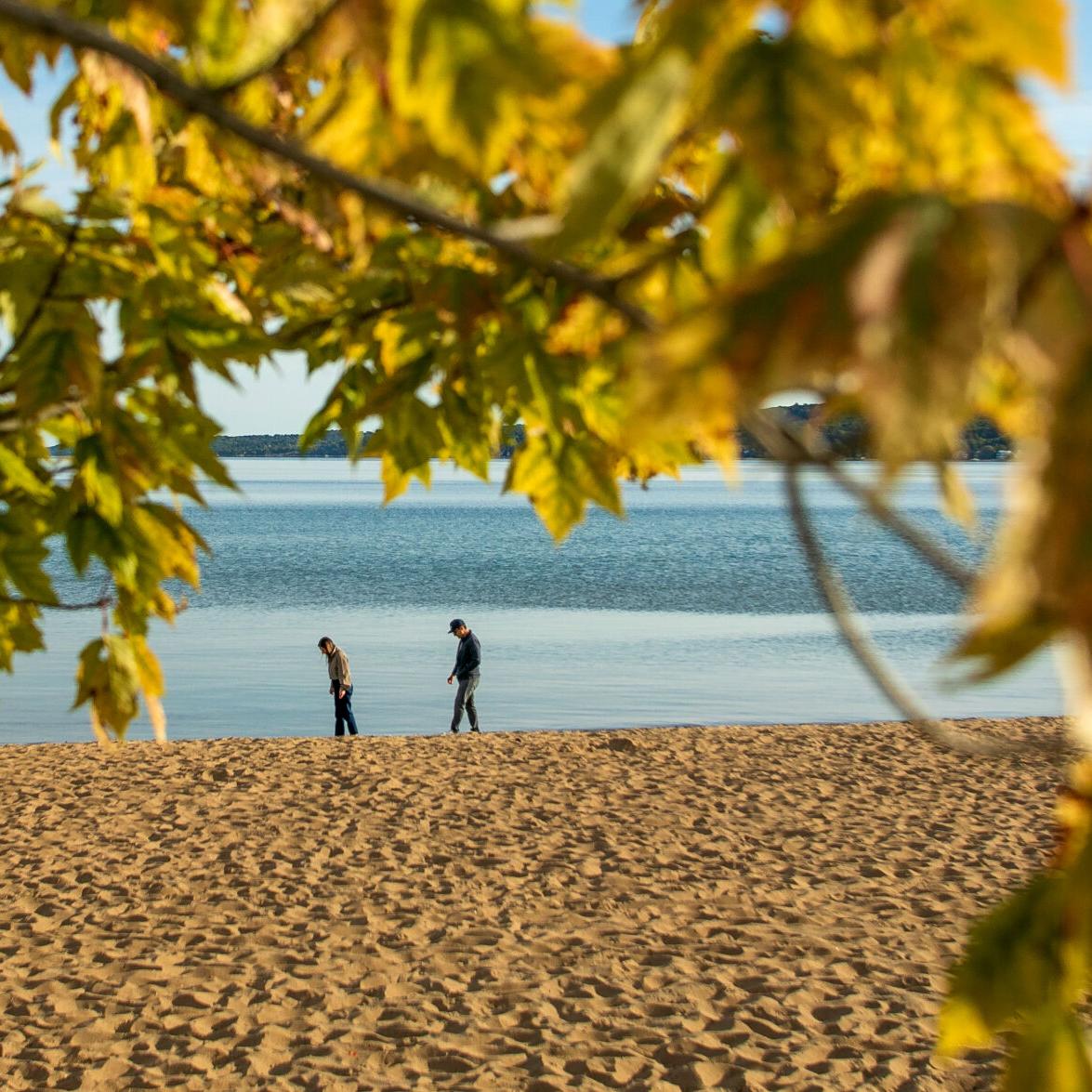 Watco buys GLC Railroad | Local News | record-eagle.com