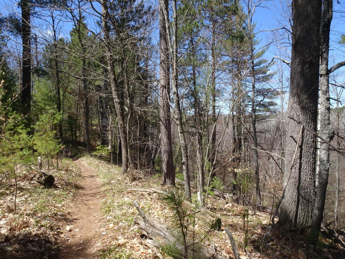 On the Trail: Shingle Mill Pathway offers a wilderness like outing | GO ...