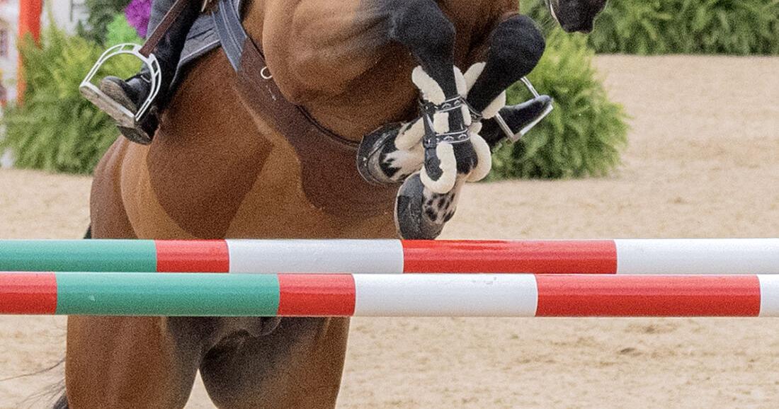 Sports in Brief: TC Tournament of Champions continues at Flintfields ...