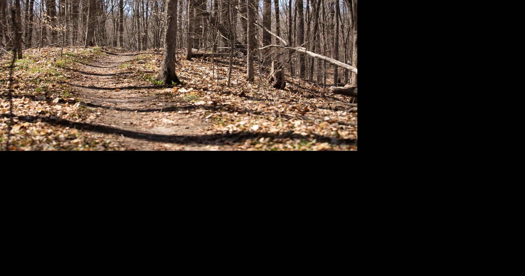 Bow hunting permits issued for Hickory Forest | Local News | record ...