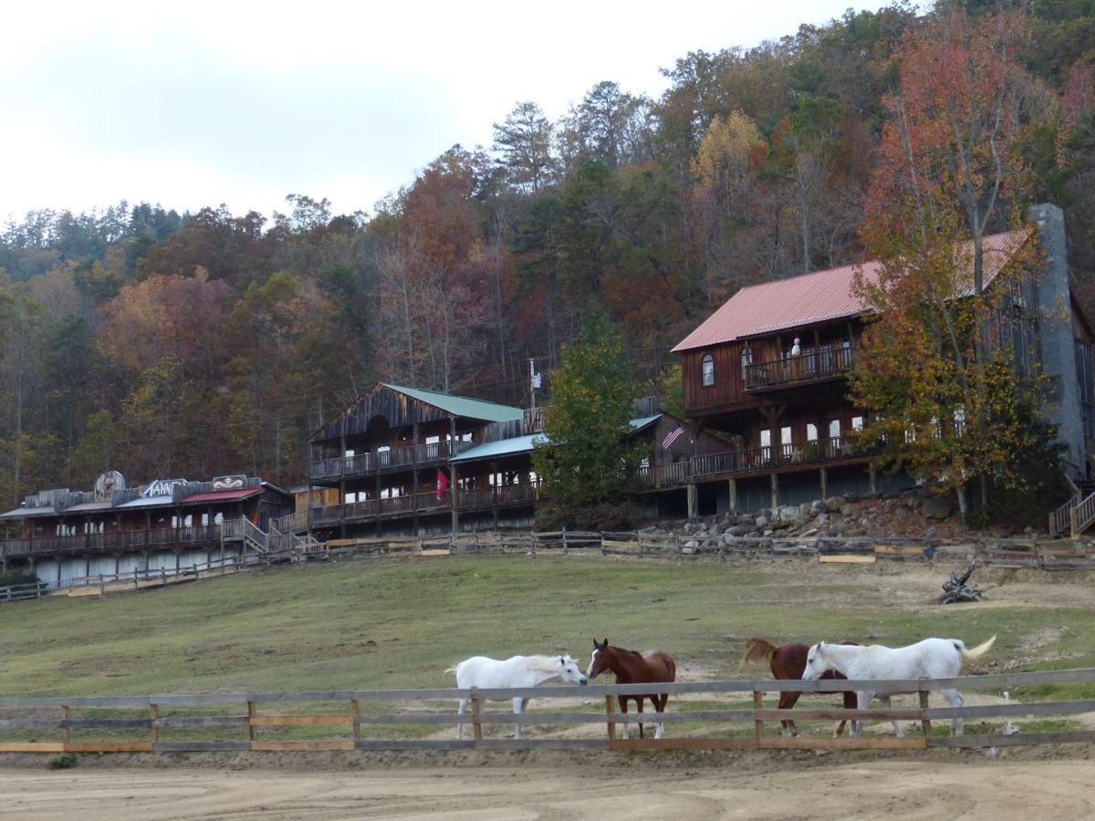 TRAVEL: Considering a dude ranch vacation? You may not have to go west ...