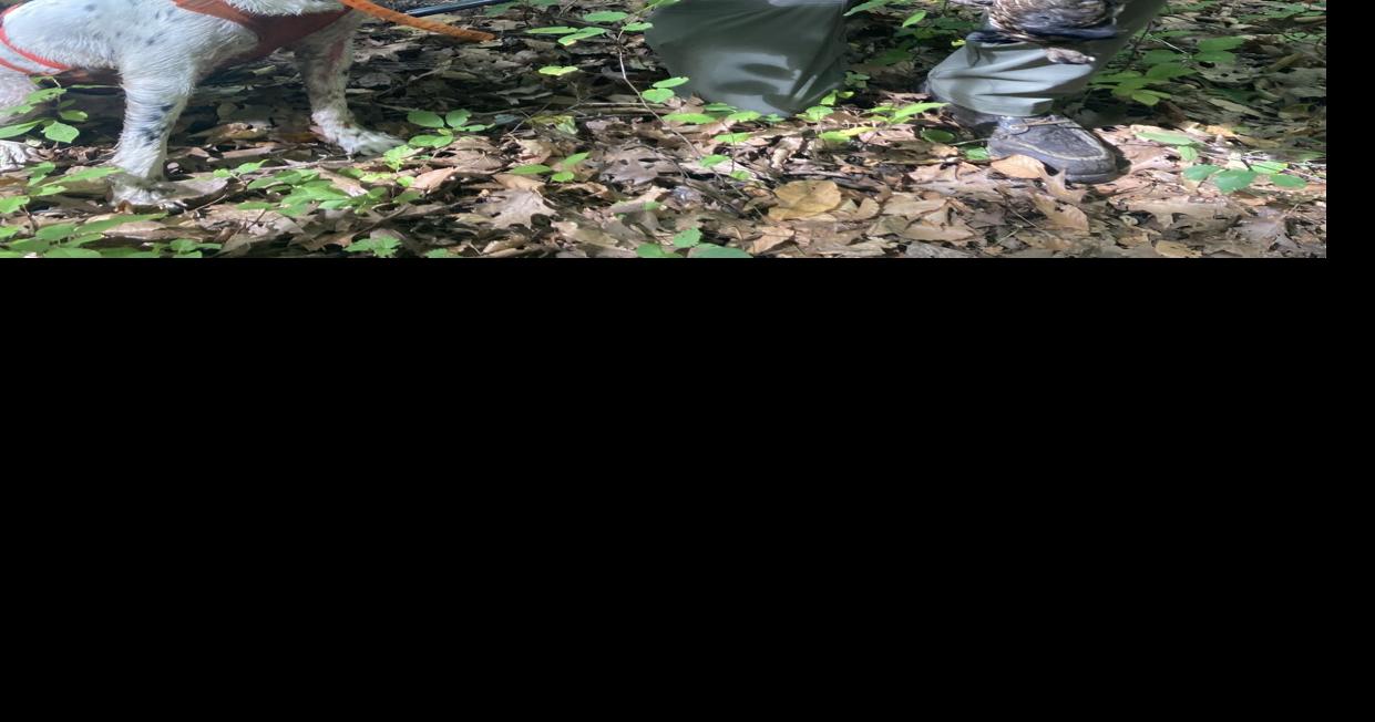 Jake Smith: 'The survey says…!' | GO | record-eagle.com