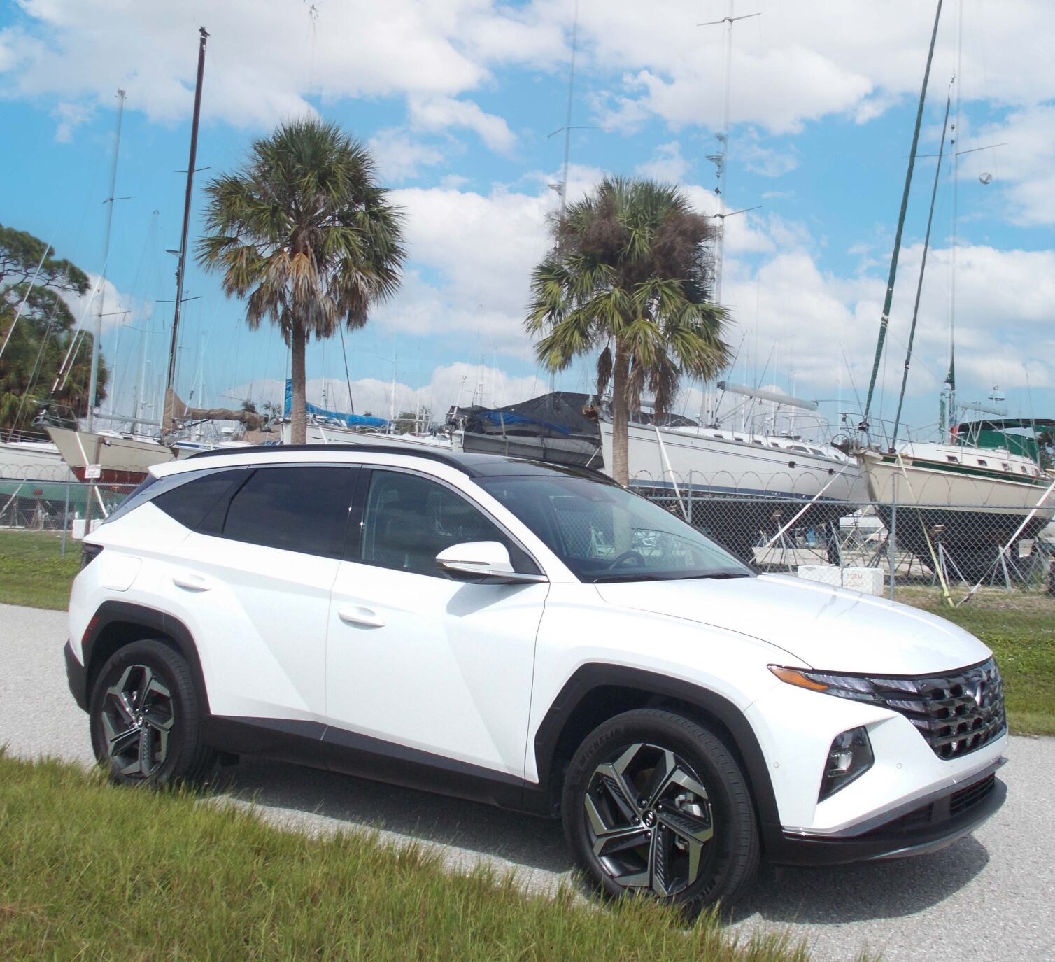 Hyundai tucson electric vehicle store