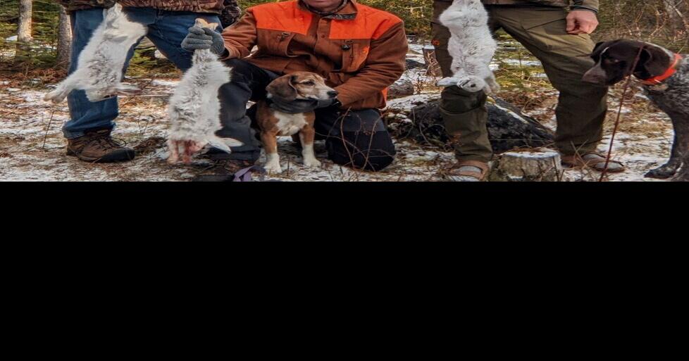 Greg Frey: Bret and the beagle | GO | record-eagle.com