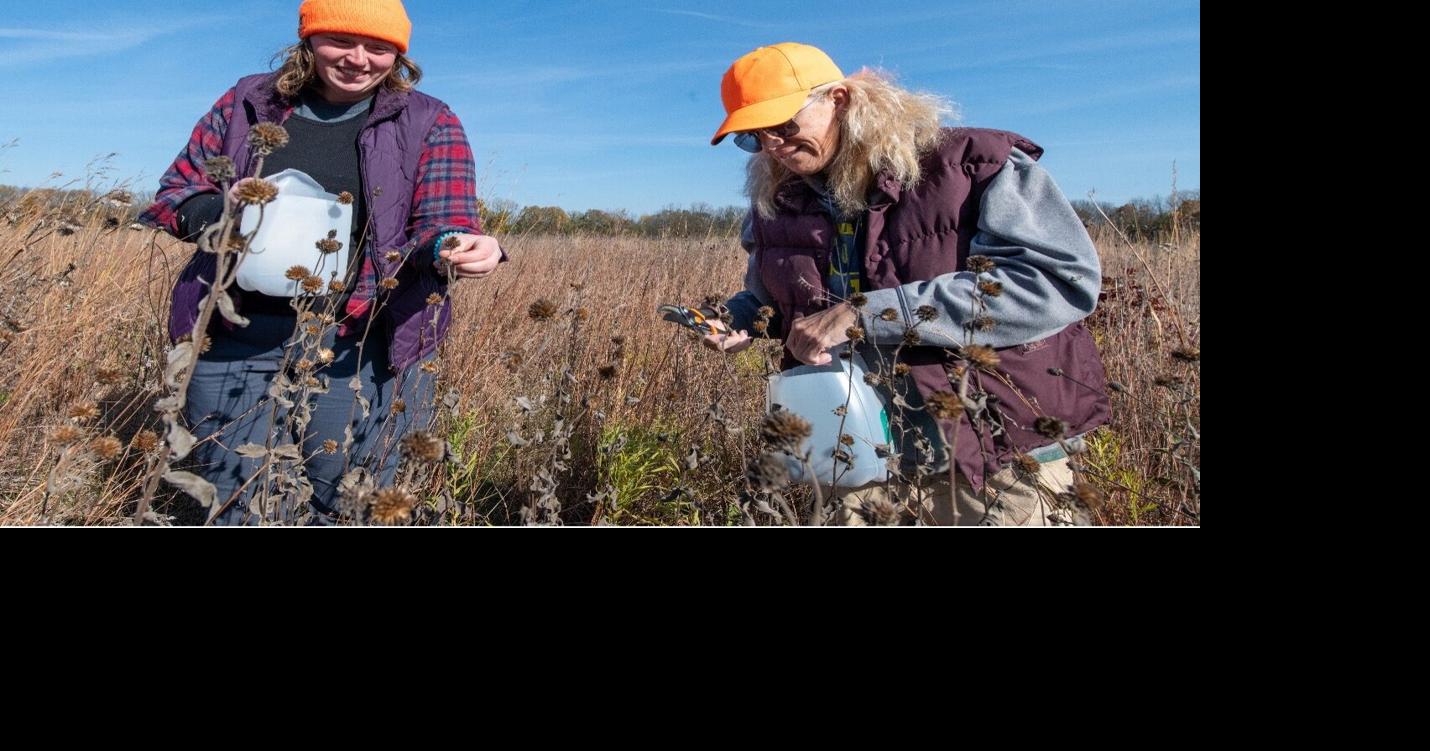 Maia Turek: Keeping Michigan's native vegetation thriving | GO | record ...