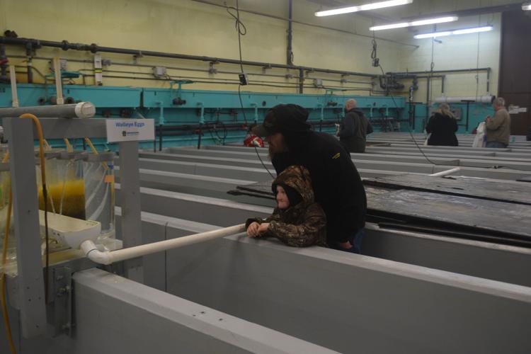 Fish Hatchery holds open house | News | recordargusnews.com