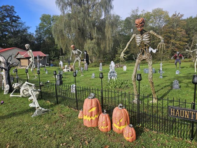 Bone Deep Cemetery continues to grow with Skellie Lady's passion | News ...