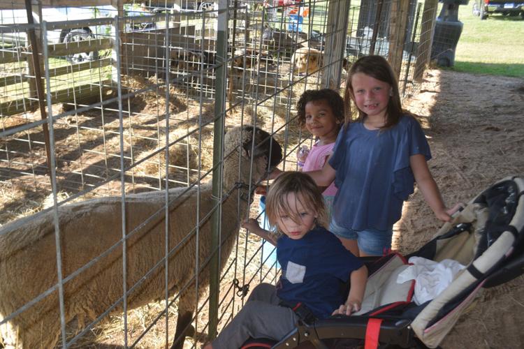 Pageant, pulls and more coming at Grange Fair | News | recordargusnews.com