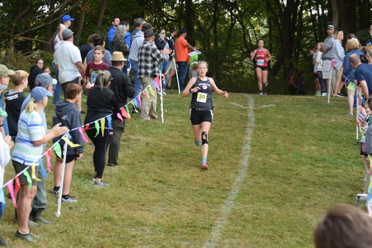 Lakeview boys finish 2nd, girls 4th at Commodore Perry Invitational ...